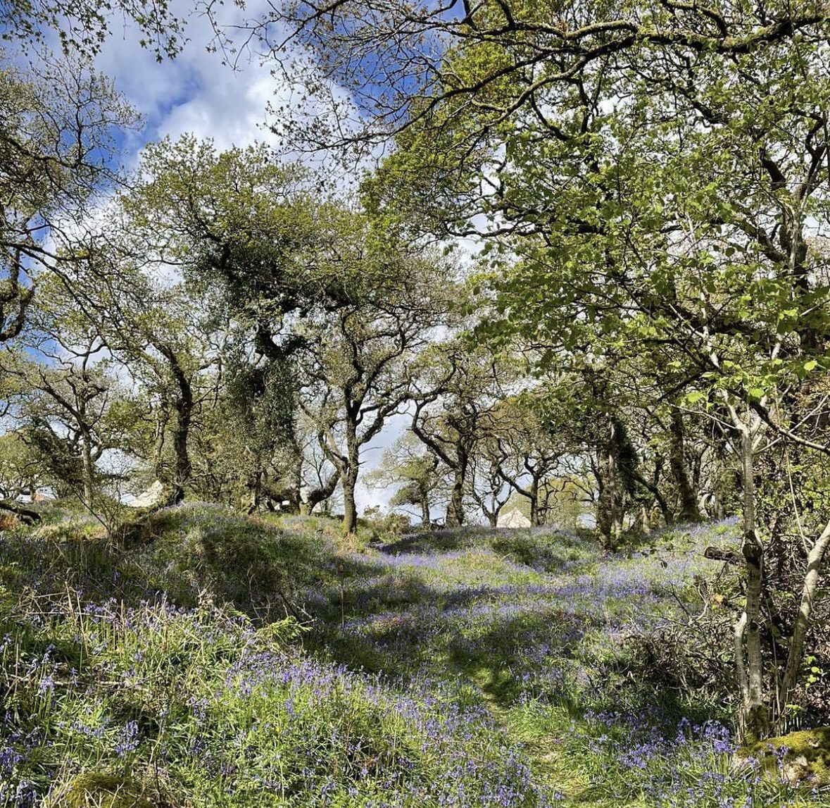 Glamping in Cornwall - Fine Kinetic Jewellery Handmade in Cornwall by ...